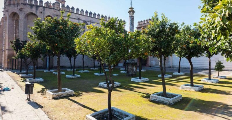 Sevilla: San Isidoro del Campo Monastery Guided Tour - Key Points
