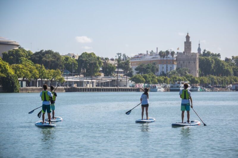 Seville: 1.5-Hour Daytime Standup Paddleboarding Tour - What to Expect in Terms of Experience