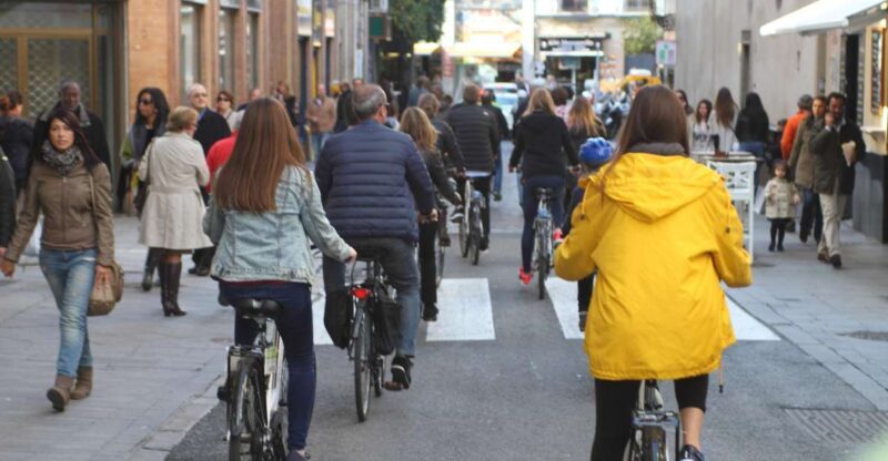 Seville: 1-Day Bike Rental - Exploring the City at Your Own Pace