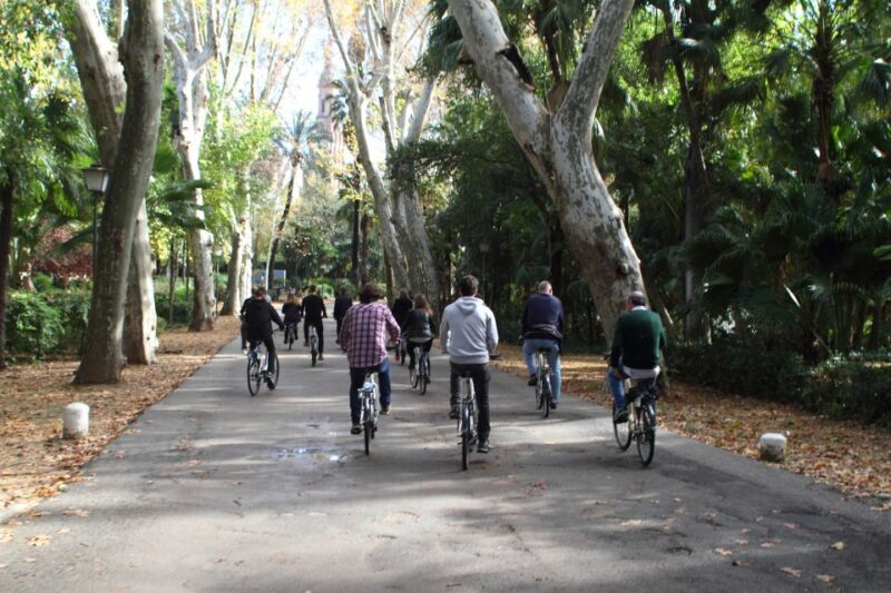 Seville: 1-Day Bike Rental - The Bikes: Functionality and Flaws
