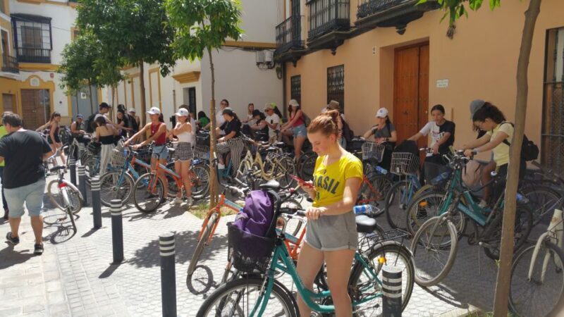 Seville: 1-Day Bike Rental - Who Will Love This Experience?