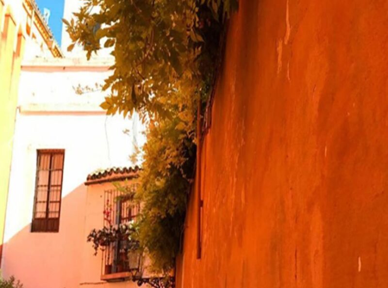 Seville: 1-Hour Walking Tour Barrio de Santa Cruz - Who Will Love This Tour?