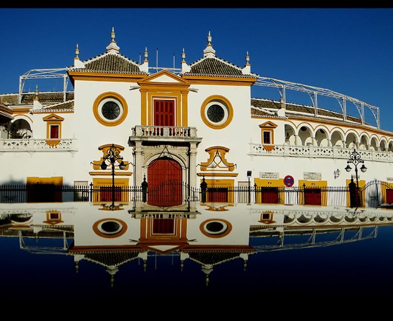 Seville 4-Hour Guided Walking Tour - An Introduction to the Tour: What You Can Expect