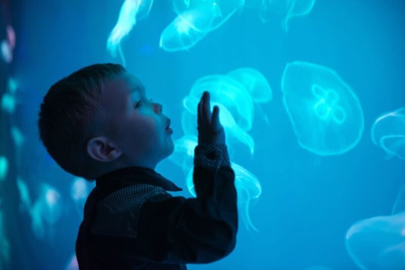 Seville Aquarium Admission Ticket - Visitor Experience and Layout