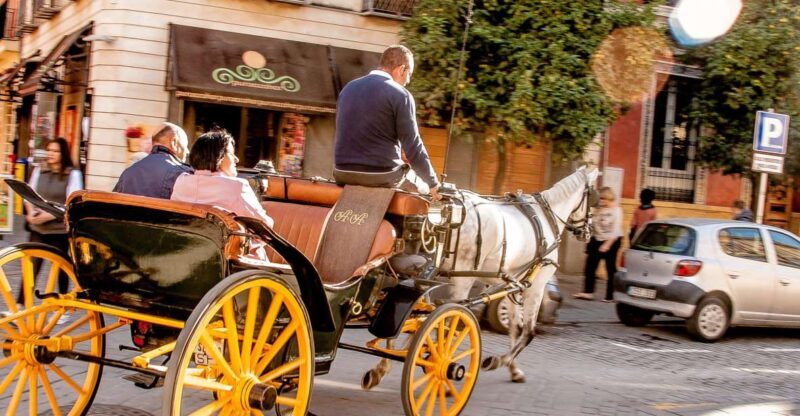 Seville: Authentic and Romantic Horse-Drawn Carriage Ride - Final Thoughts