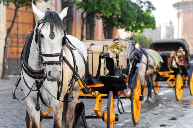 Seville: Authentic and Romantic Horse-Drawn Carriage Ride - FAQs
