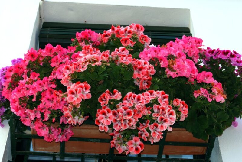 Seville: Barrio de Santa Cruz Small Group Walking Tour - Who Will Love This Tour?
