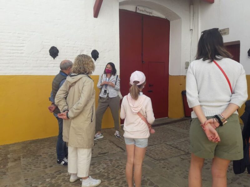 Seville: Bullring Guided Tour with a Skip-the-Line Ticket - Final Thoughts