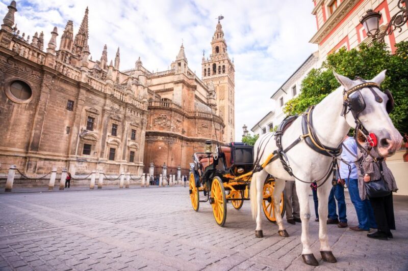 Seville: Cathedral and Alcázar Guided Tour - The Experience and What Youll Love