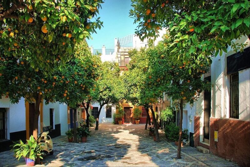 Seville: City of Queens, Nuns, Sex Work & Witches - Practical Tips