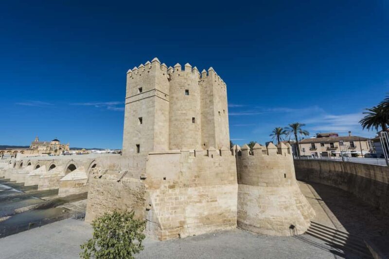 Seville: Cordoba Private & Fully Customizable Day Trip - Seville: Cordoba Private & Fully Customizable Day Trip — A Practical Guide to Exploring Andalusia