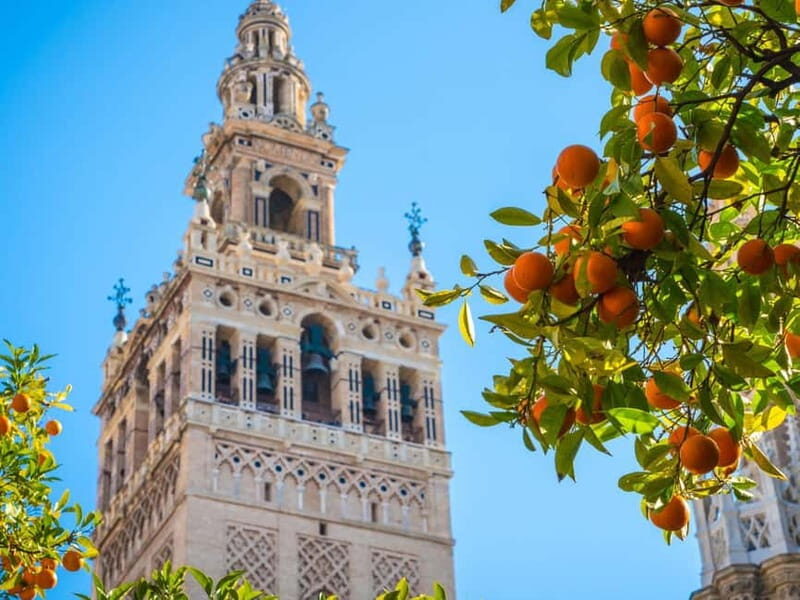 Seville: Dutch Highlights (E-)Bike Tour with a Small Group - Exploring Seville on Two Wheels: The Experience