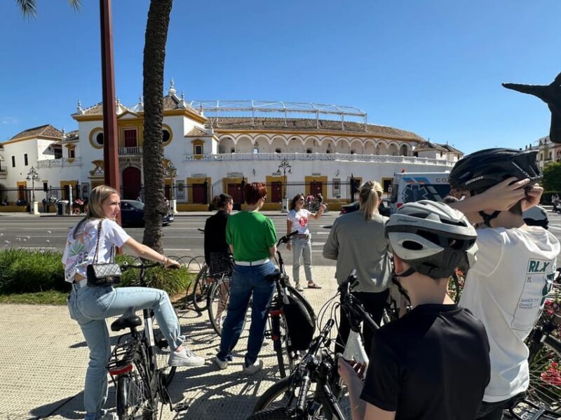 Seville: Dutch Highlights Tour - The Authenticity and Review Highlights