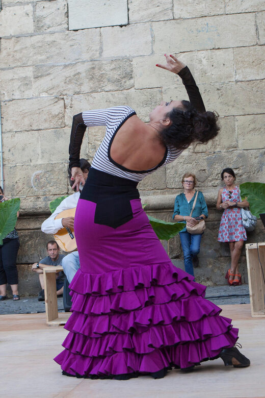 Seville: Enjoy a class of approach to flamenco - Who Should Consider This Experience?
