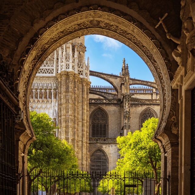 Seville: Fast Track Cathedral Giralda Tower Last minute Tour - Key Points