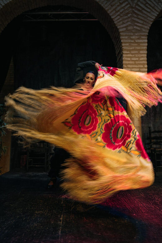 Seville: Flamenco 2 x 1: Flamenco Tour + Dance Class - The Sum Up: Who Will Love This Flamenco Tour?