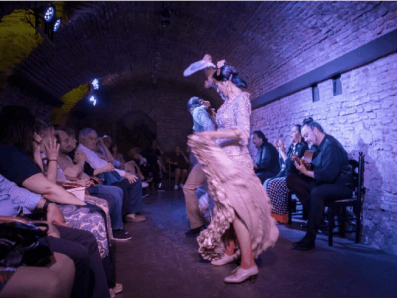 Seville: Flamenco Dreams Show with Drink in an Arabic Vault - Who Will Love This Experience?