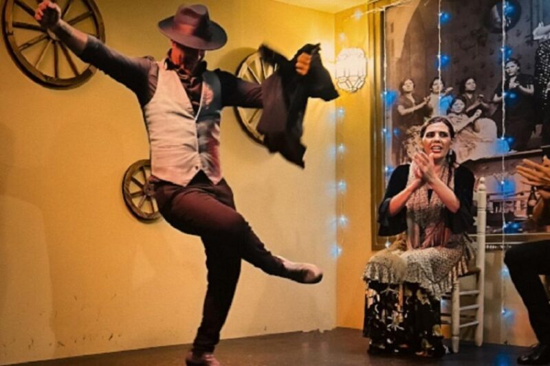 Seville: Flamenco Show at Tablao La Cantaora - Who Will Love This Experience?