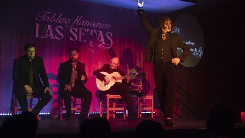 Seville: Flamenco Show & Roof Dinner with Cathedral Views - A Full Breakdown of the Experience