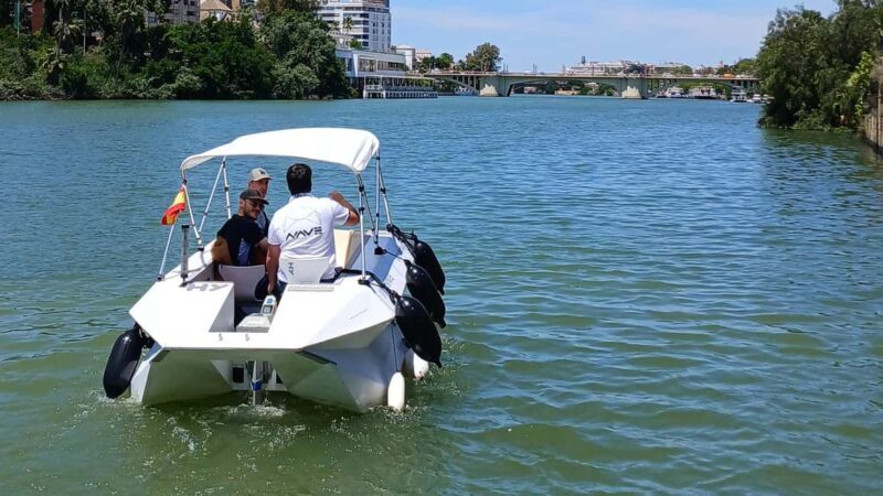 Seville from the River: Electric water taxi ride, TAXI SHIP. - Why Choose the Electric Water Taxi Tour in Seville?