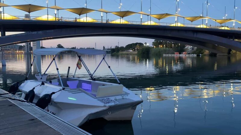 Seville from the River: Electric water taxi ride, TAXI SHIP. - Practical Tips for Travelers
