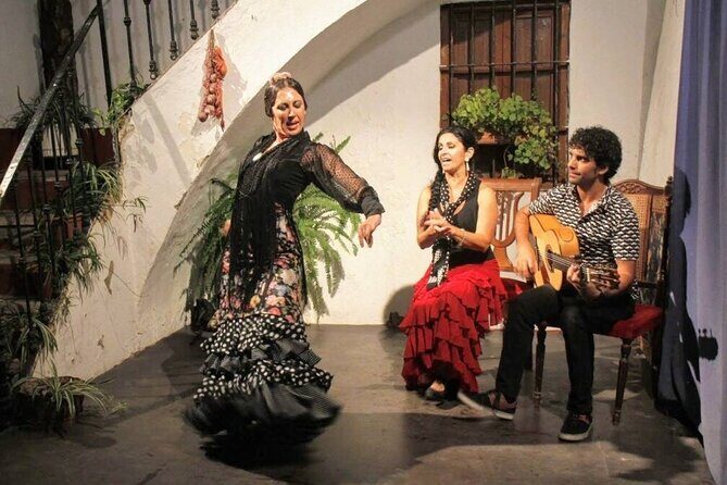 Seville: Fun class to approach Flamenco - Who Will Love This Experience?