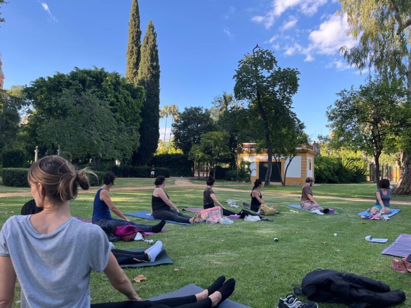Seville: Group Yoga Classes All Levels - Discovering Seville’s Yoga Experience: A Deeper Look