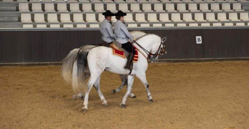 Seville: Horse's Show Entry Ticket. Optional Stud Farm Visit - Introduction