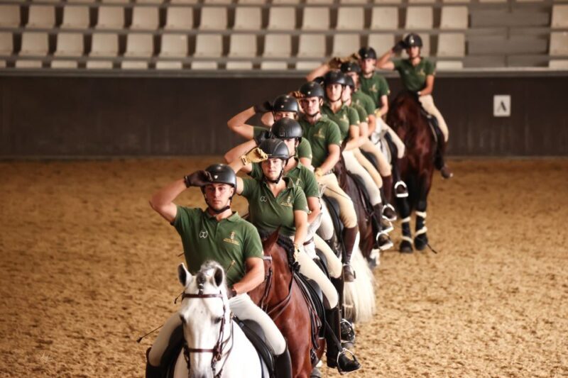 Seville: Horse's Show Entry Ticket. Optional Stud Farm Visit - The Value for Money