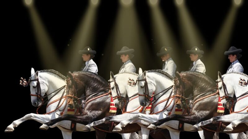 Seville: Horse's Show Entry Ticket. Optional Stud Farm Visit - Practical Details and Tips