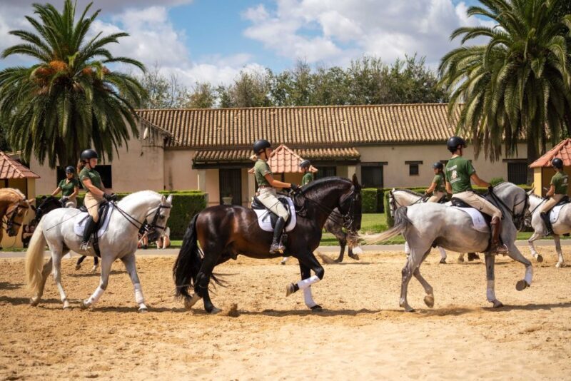 Seville: Horse's Show Entry Ticket. Optional Stud Farm Visit - The Sum Up