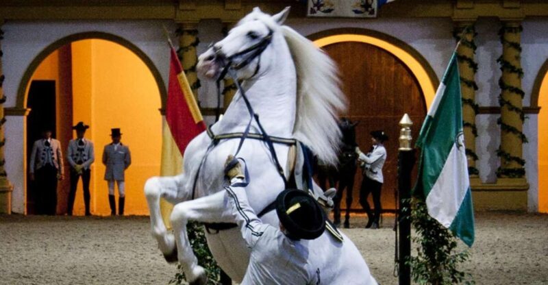 Seville: Jerez, Cadiz Wine Tasting with Optional Horse Show - An Overview of the Tour