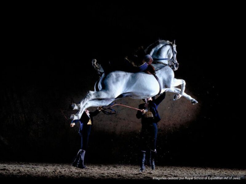 Seville: Jerez, Cadiz Wine Tasting with Optional Horse Show - Final Thoughts