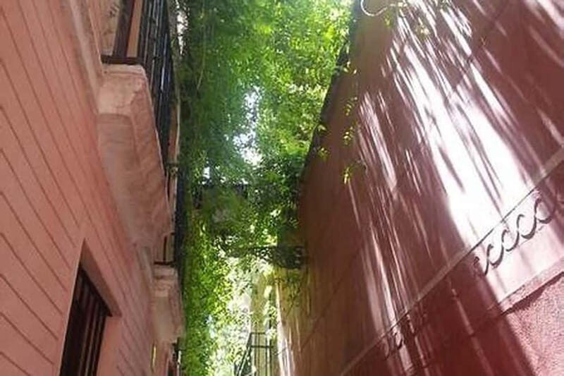 Seville: Jewish Quarter, History & Hidden Corners - The Human Touch: Why Guides Matter