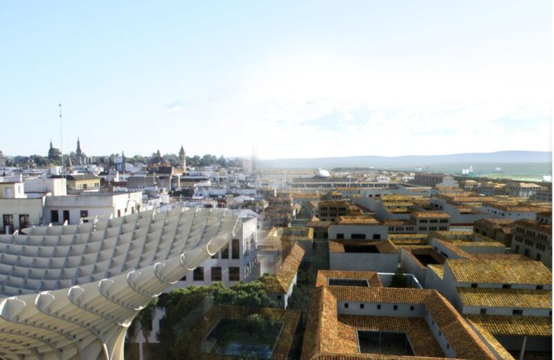 Seville: Las Setas Guided Tour & Optional City Tour - Authenticity, Accessibility, and Overall Value