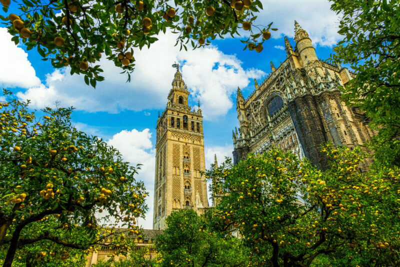 Seville: Priority Access Cathedral, Giralda & Alcázar Tour - Key Points