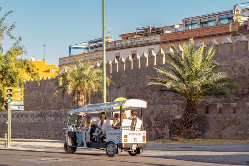 Seville: Private City Tour by Eco Tuk Tuk - Who Will Love This Tour?