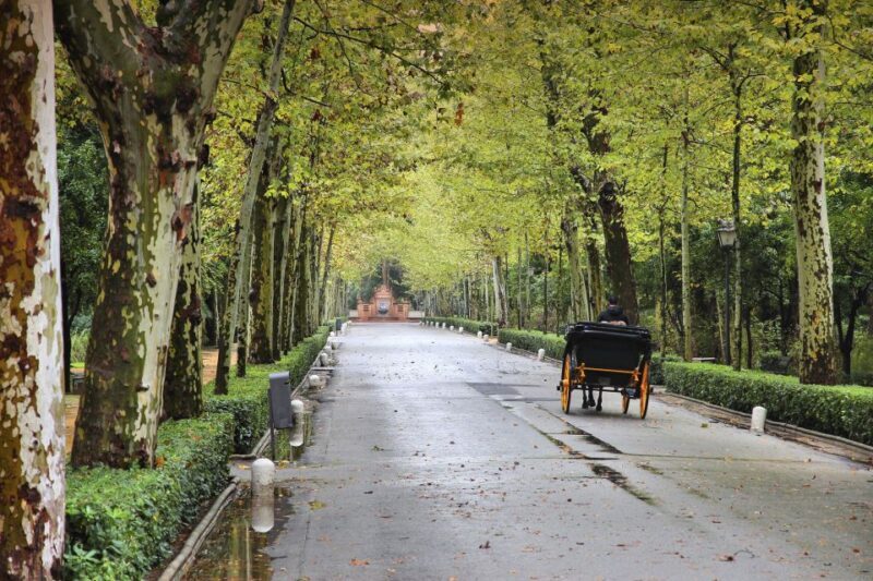 Seville: Private E-Bike City Highlights Tour - FAQ