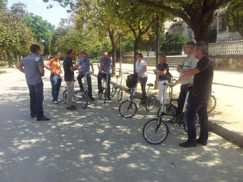 Seville: Relaxing Electric Bike tour with Tour Guide - Key Points