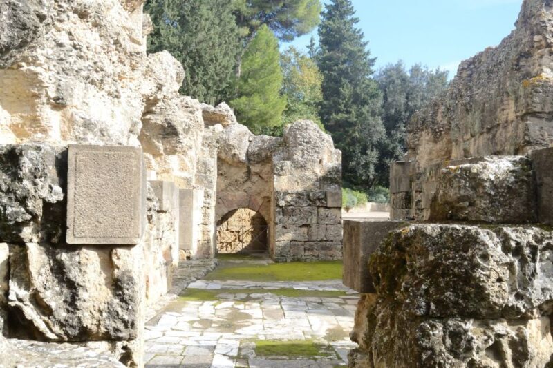 Seville: Roman City of Itálica 2 Hour Tour - Key Points