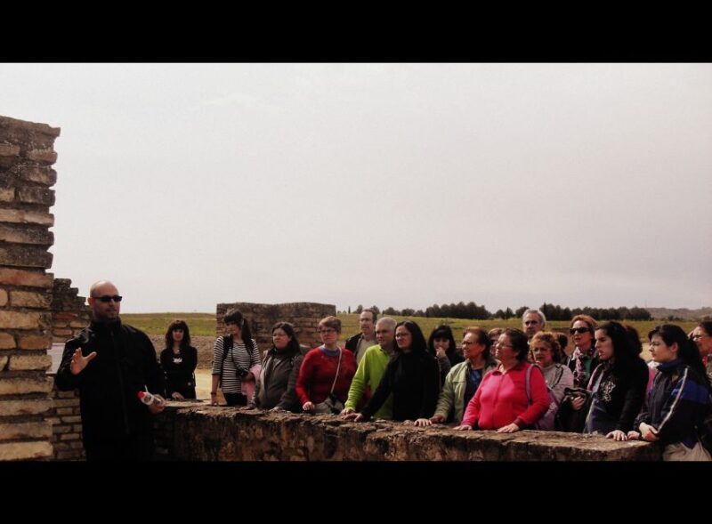 Seville: Roman City of Itálica 2 Hour Tour - Who Will Love This Tour?