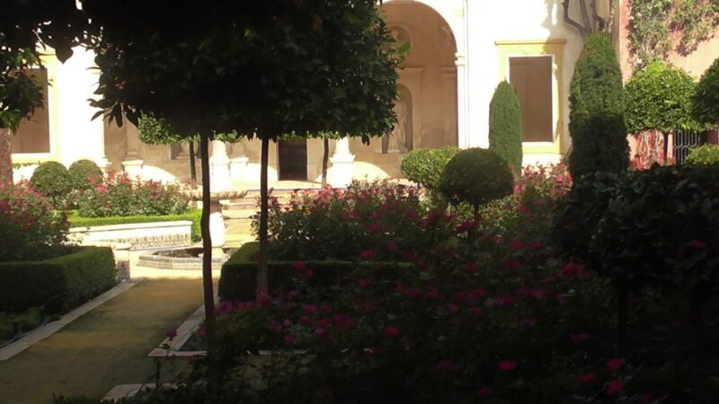 Seville: Salvador Church, Casa Pilatos, and Metropol Tour - What Do the Reviews Say?