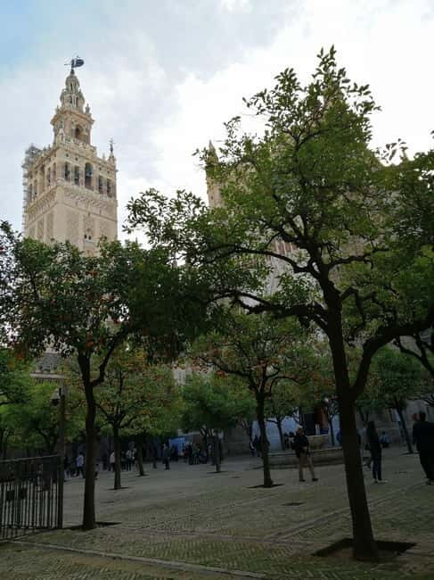 SEVILLE: SANTA MARIA DE LA SEDE CATHEDRAL TOUR - Key Points