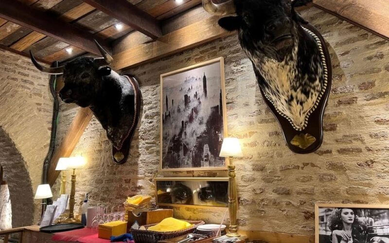 Seville: Tapas Dinner and Flamenco Show - Key Points