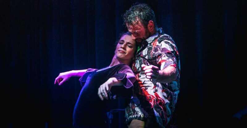 Seville: Traditional Flamenco Show in Triana - What to Expect from the Flamenco Show