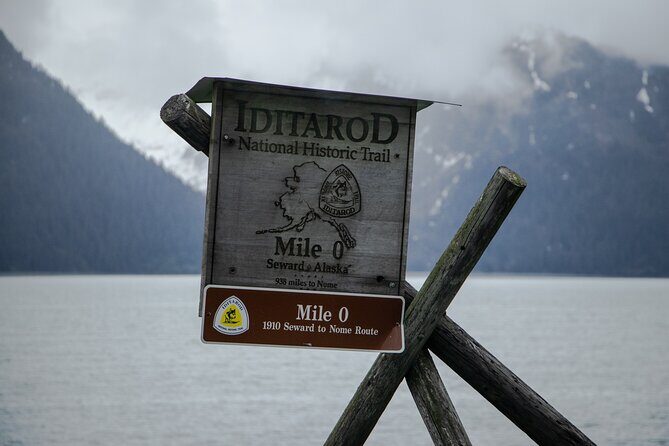 Seward Alaska City Tour and Glacier Viewing - Analyzing the Experience: A Deep Dive