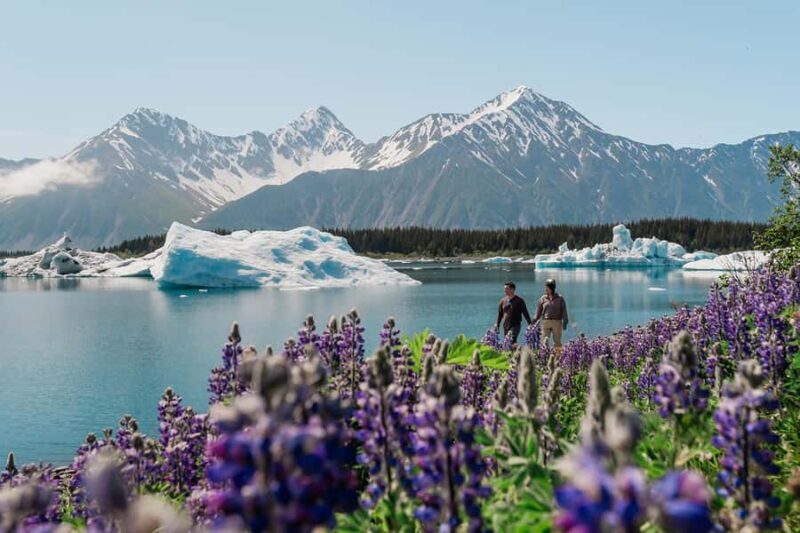 Seward: Bear Glacier Flight and Beach Landing - Introduction