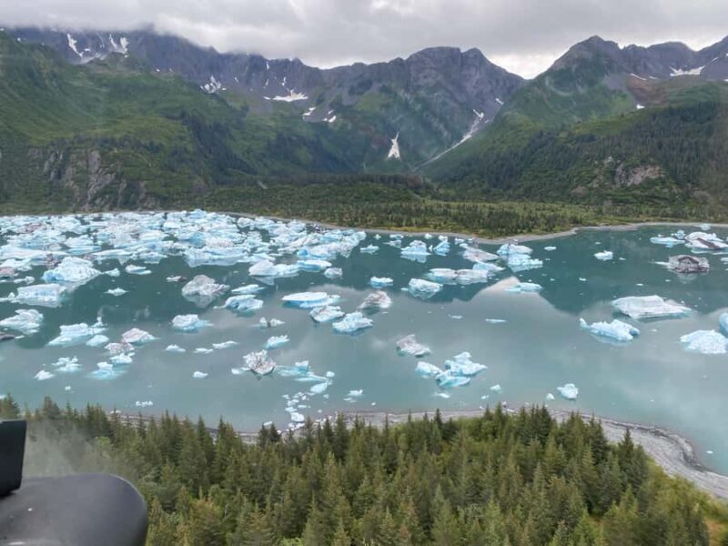 Seward: Bear Glacier Signature Helicopter Tour - Seward: Bear Glacier Signature Helicopter Tour — An Aerial Adventure in Alaska