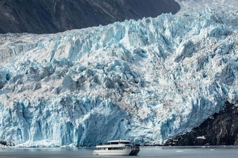 Seward: Captain's Choice Kenai Fjords National Park Tour - Key Points