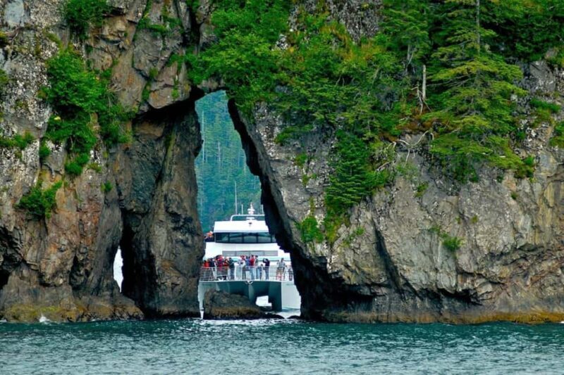 Seward: Captain's Choice Kenai Fjords National Park Tour - The Sum Up: Who Will Love This Tour?